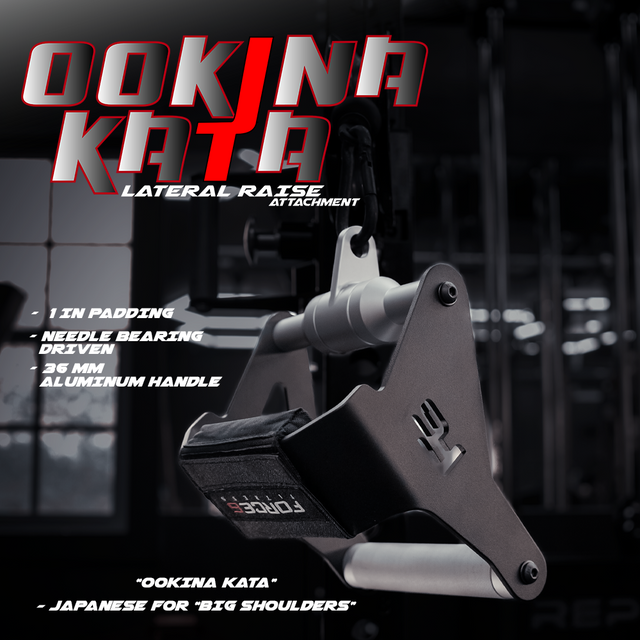 Lateral raise attachment - Cable attachment – Force 6 Fitness